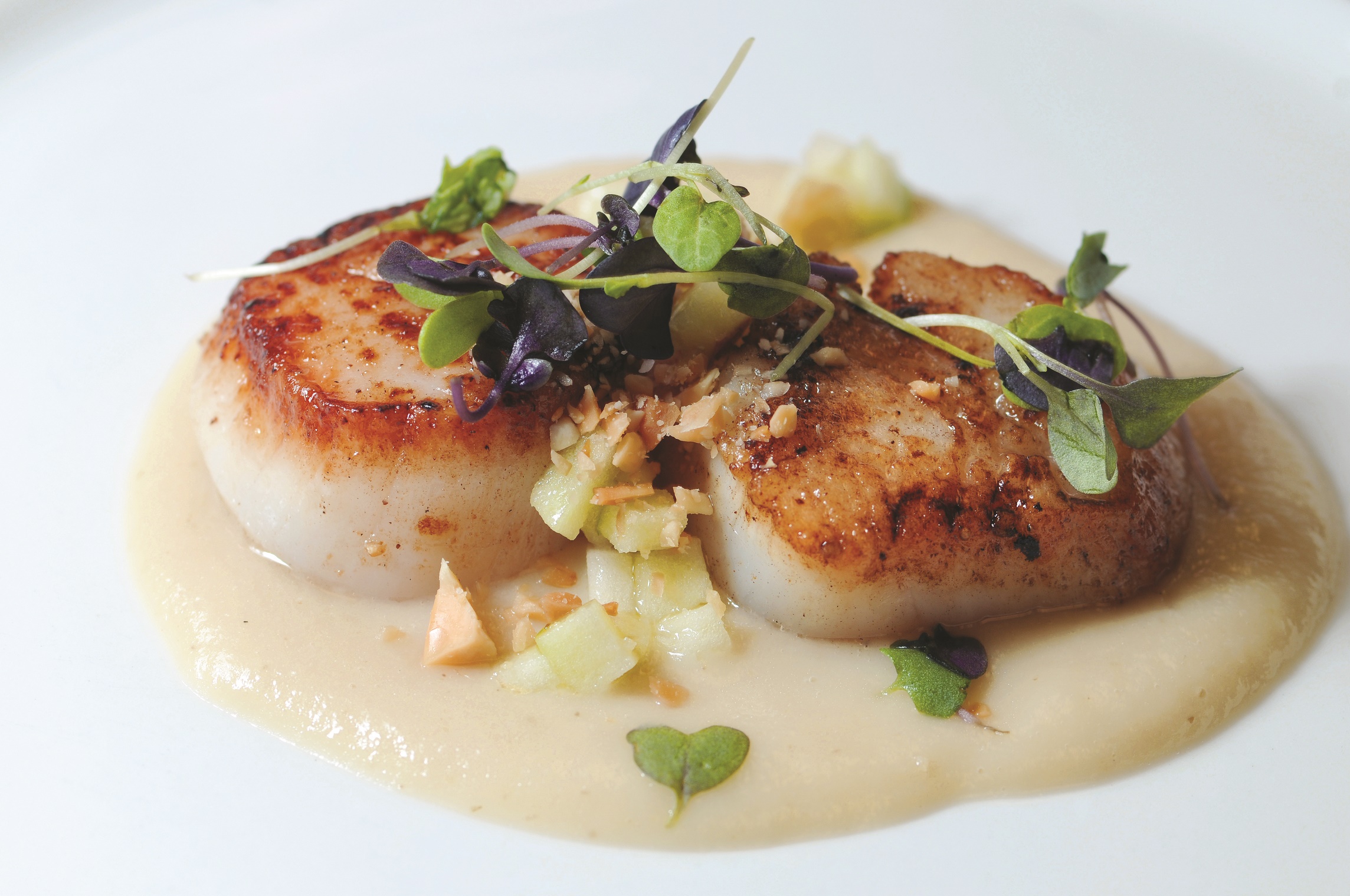 Ronayne & Forrest Leahy-Thomas Memorial Fundraiser 2017 - Foundation ...