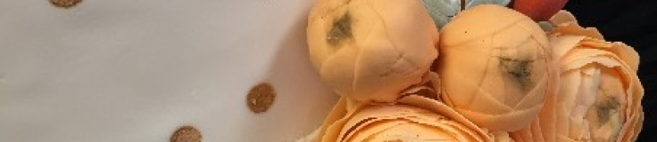 Emily Wooten Summer 2016 Blog Post – Foundation for Culinary Arts